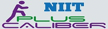 NIIT Assessment System